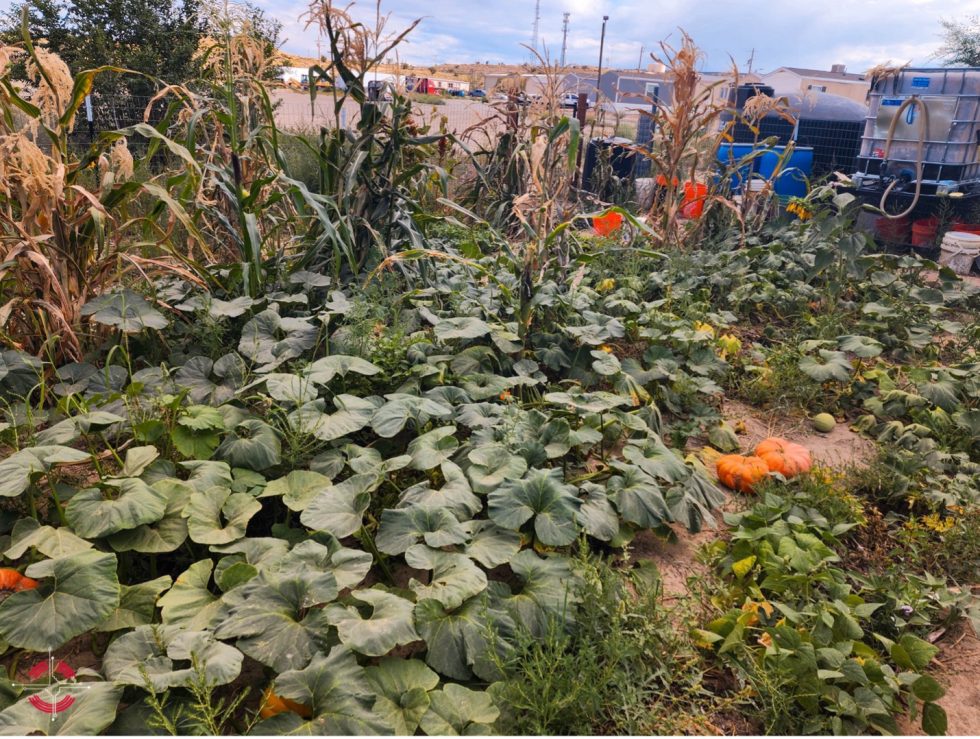 Navajo Technical University Team Wins | NTU